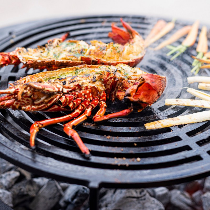 Ofyr - Grille Ronde Acier pour Barbecue Plancha OFYR 100 - Les Secrets ...